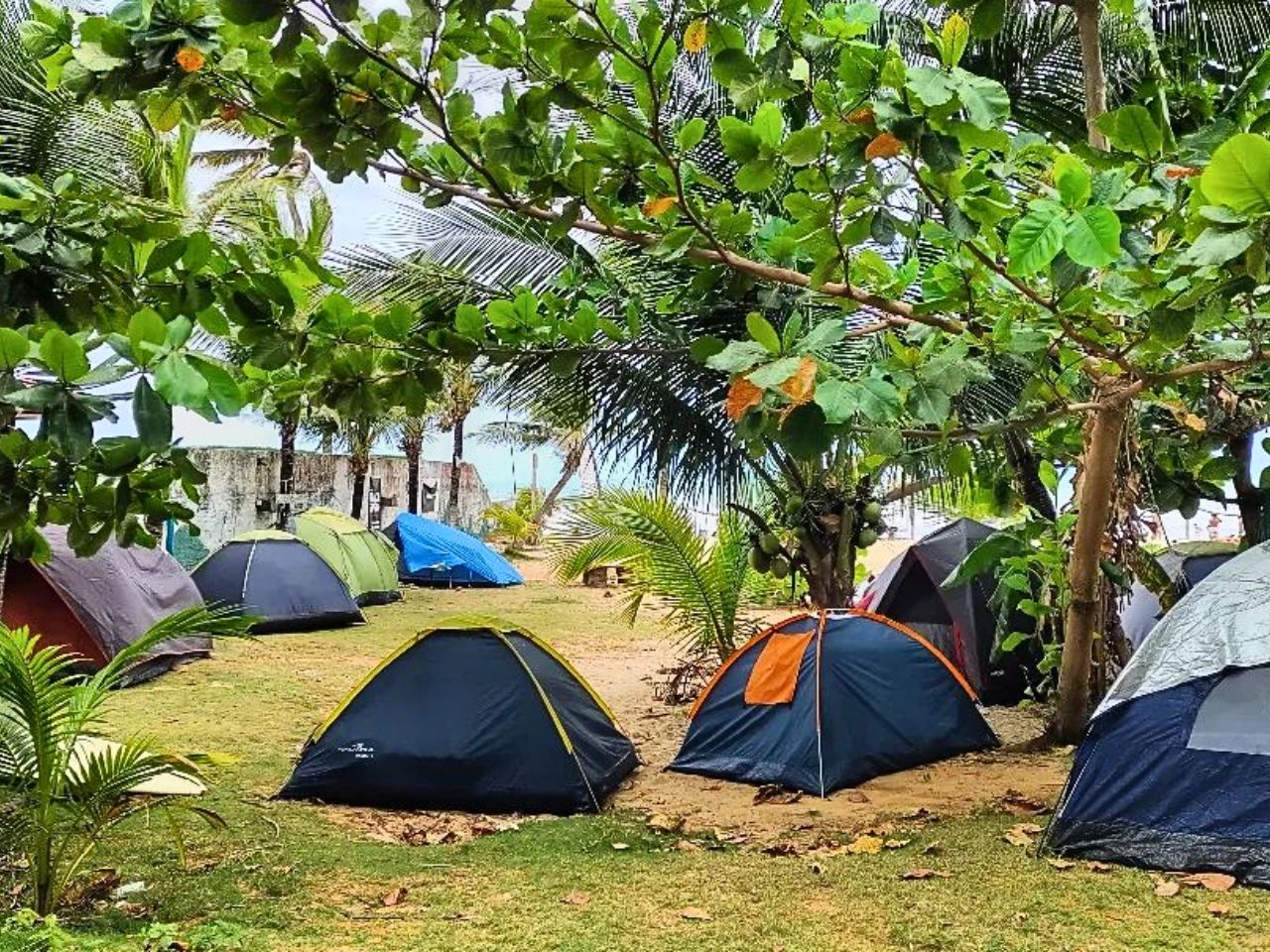 Guia de Camping Ceará - Ceará Selvagem